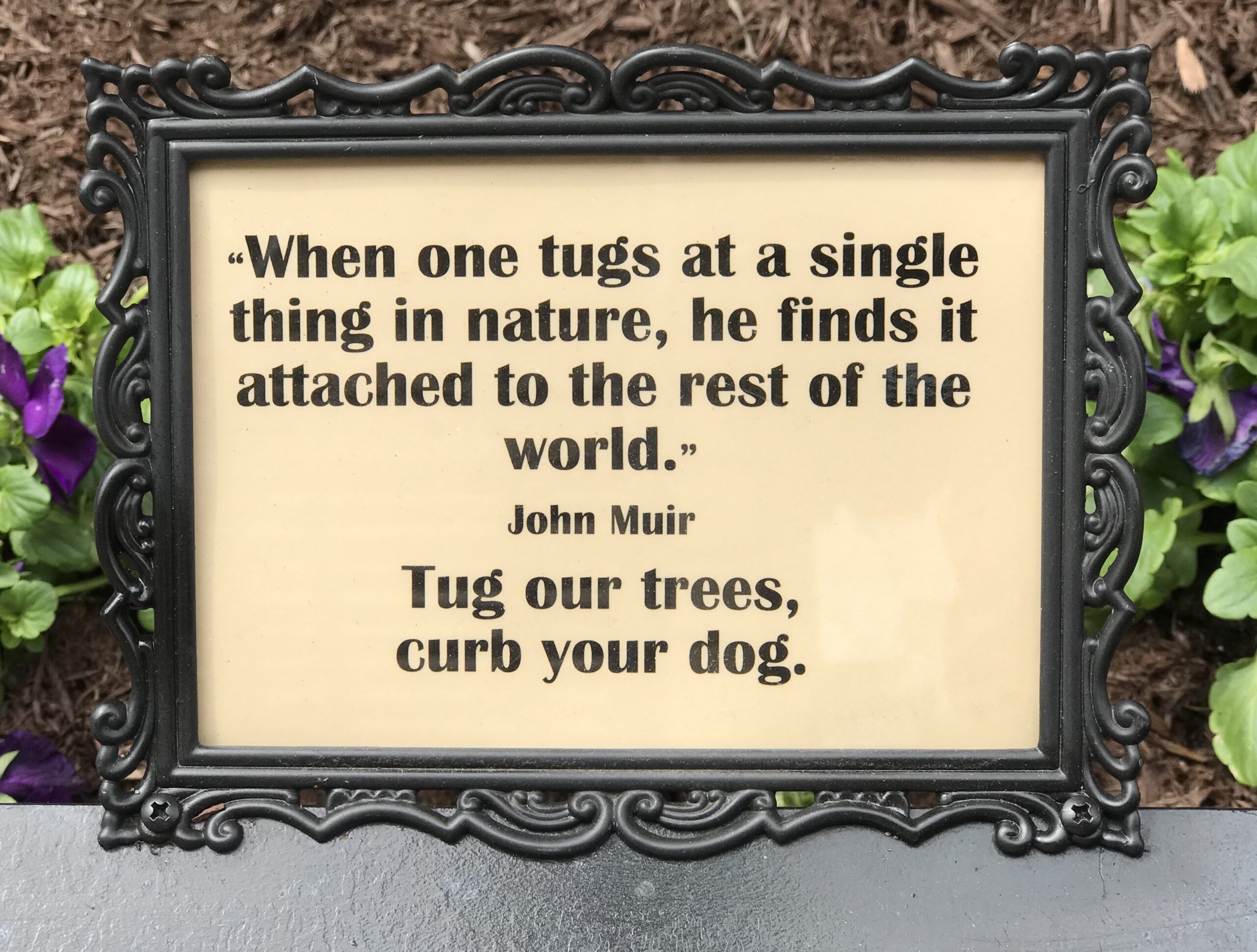 Tug - Ruta's Rules